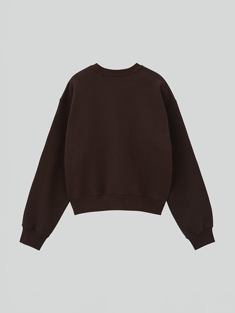 RECTO X BROWN LLEGE LOGO SWEATSHIRT (BROWN) – LINE FRIENDS SQUARE